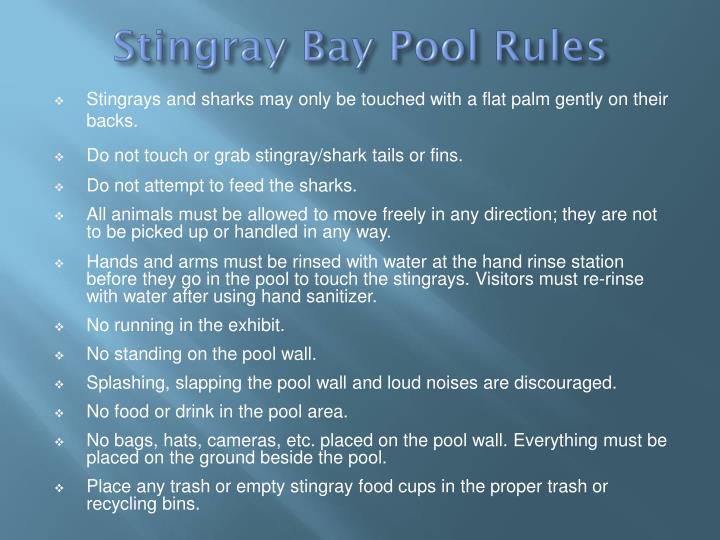 PPT - Stingray Bay at the Memphis Zoo PowerPoint Presentation - ID:4292584
