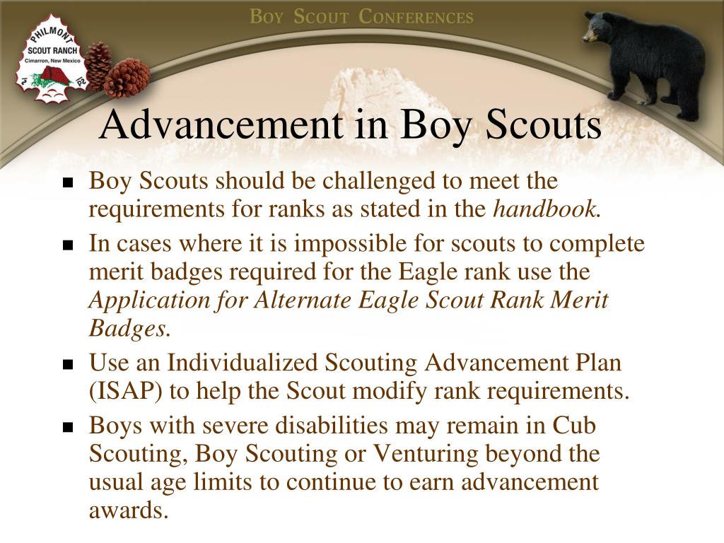 PPT - THREE FIRES COUNCIL St. Charles, IL Special Needs Committee ...