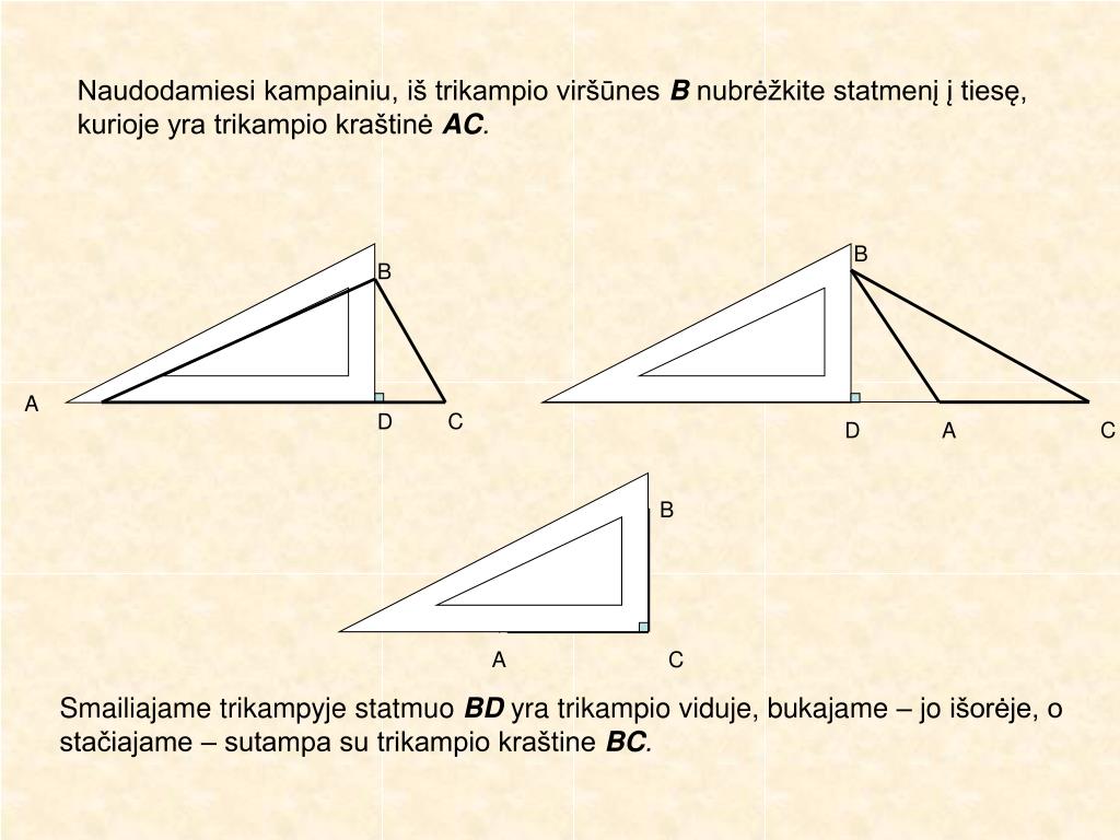 PPT - TRIKAMPIO AUKŠTINĖS, PUSIAUKRAŠTINĖS IR PUSIAUKAMPINĖS PowerPoint ...