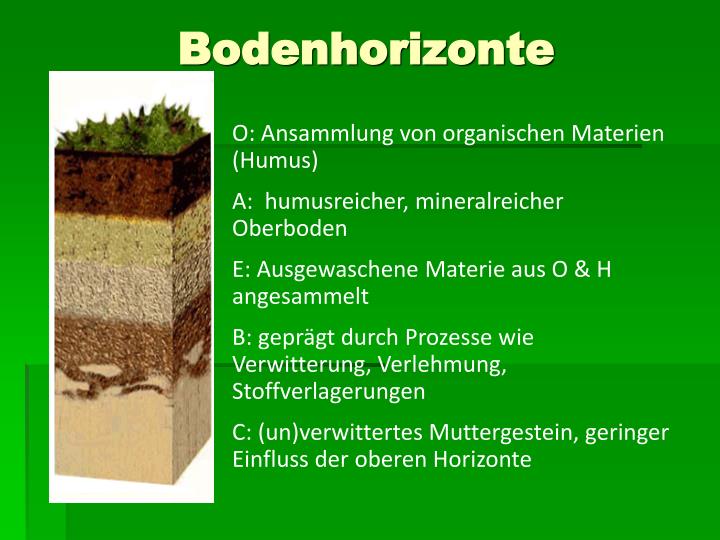 PPT - Soil deterioration PowerPoint Presentation - ID:4293703