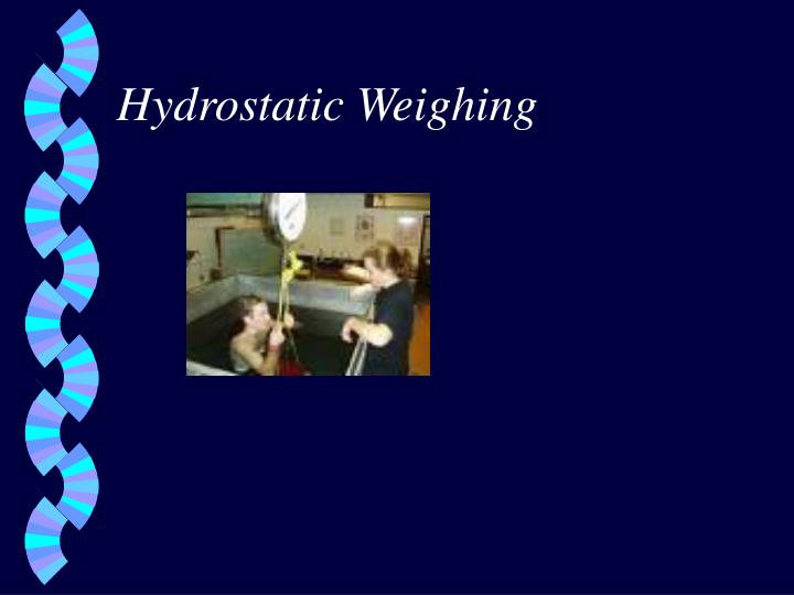 PPT - Nutrition, Fitness & Sport PowerPoint Presentation - ID:4295649