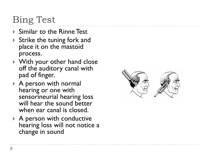 PPT - Ear, Hearing and Equilibrium PowerPoint Presentation - ID:4297618
