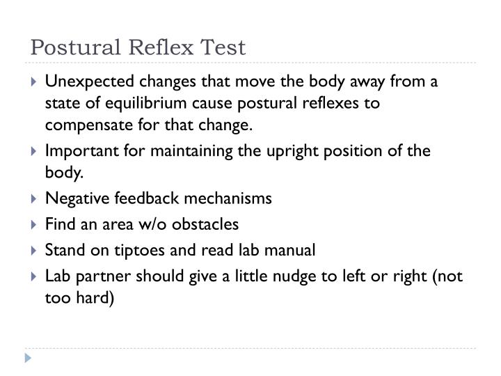 PPT - Ear, Hearing and Equilibrium PowerPoint Presentation - ID:4297618