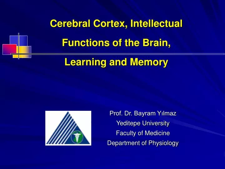 PPT - Cerebral Cortex, Intellectual Functions of the Brain, Learning and Memory PowerPoint ...