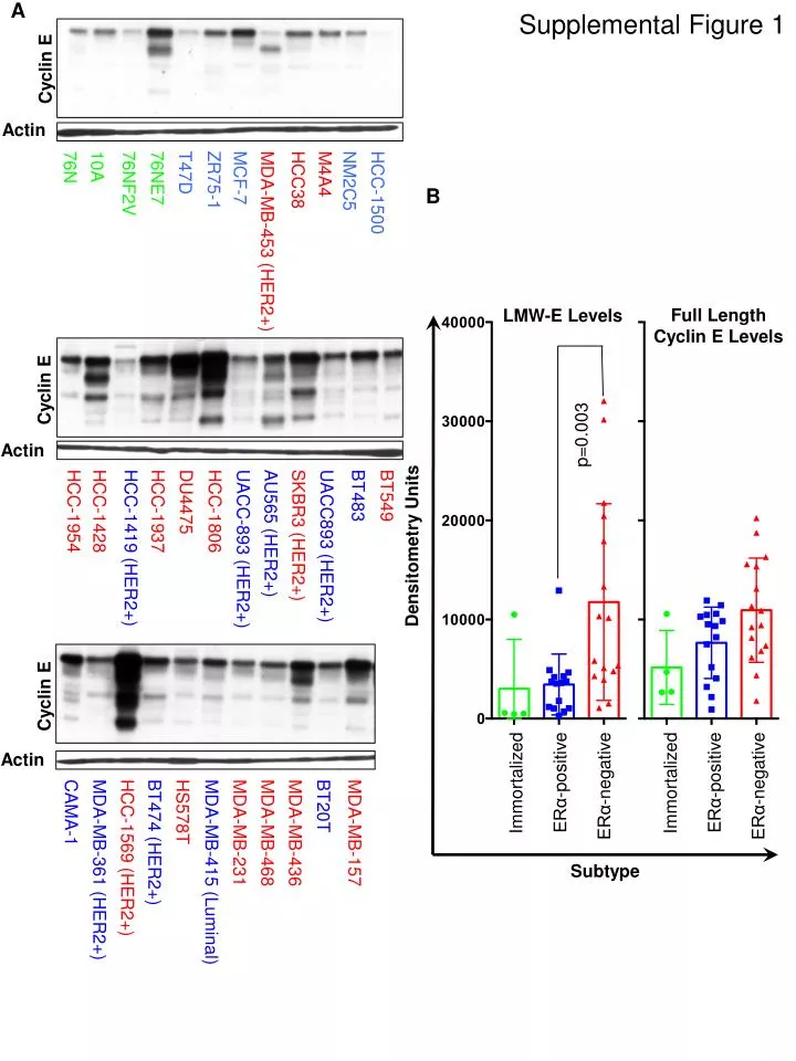 PPT - CAMA-1 PowerPoint Presentation, free download - ID:4300208