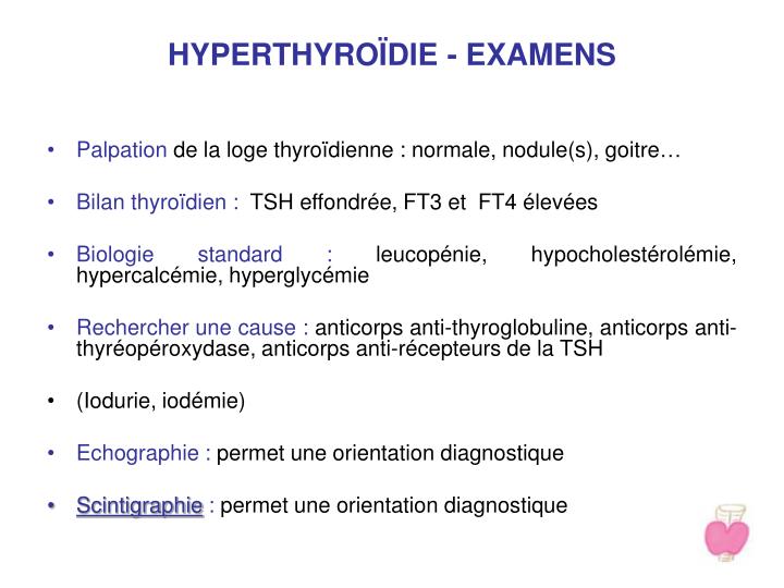 PPT - LA THYROÏDE PowerPoint Presentation - ID:4301953