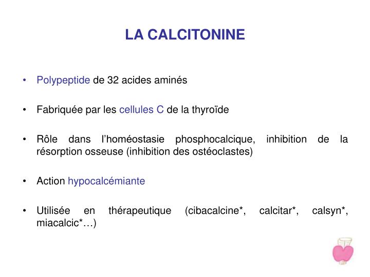 PPT - LA THYROÏDE PowerPoint Presentation - ID:4301953