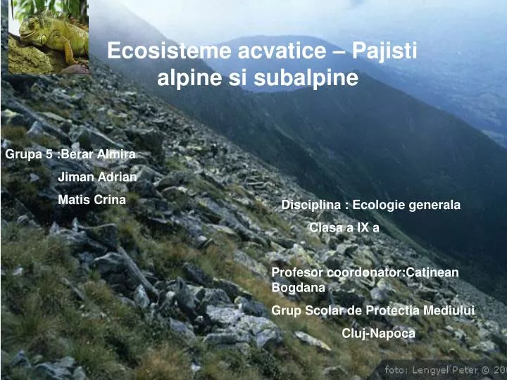 PPT - Ecosisteme acvatice – Pajisti alpine si subalpine PowerPoint ...