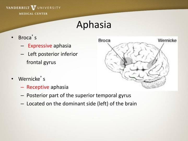 PPT - Diagnosis and Management of Acute Stroke PowerPoint Presentation ...