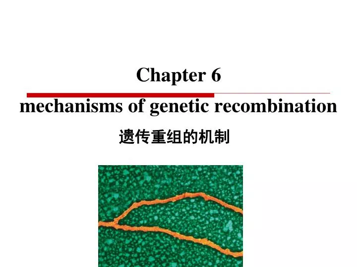 PPT - Chapter 6 mechanisms of genetic recombination PowerPoint ...