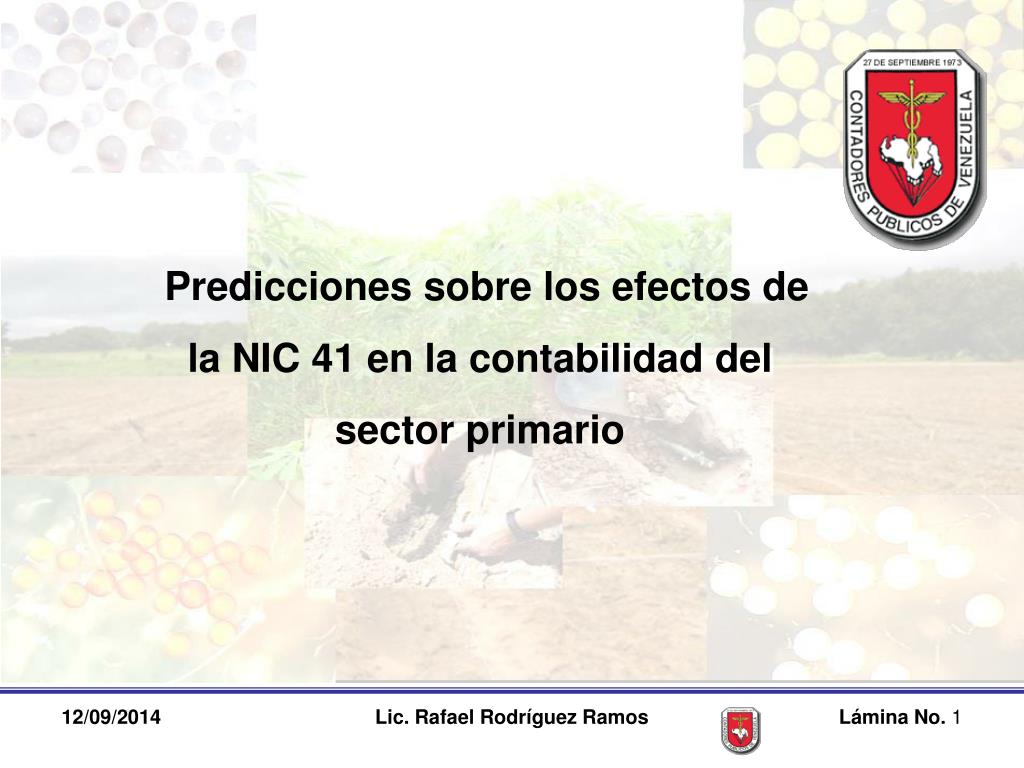 PPT - AGRICULTURA, (NIC 41) Y SU RELACIÓN CON OTROS NIIF PowerPoint ...