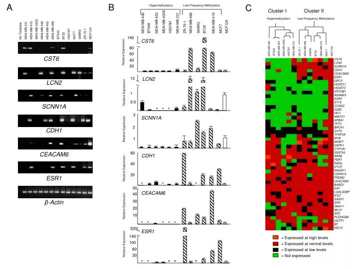 PPT - HS578T PowerPoint Presentation, free download - ID:4308400