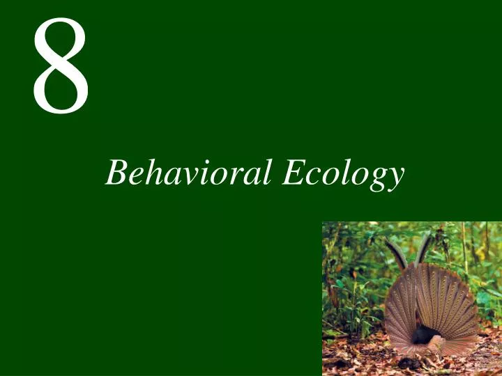 PPT - Behavioral Ecology PowerPoint Presentation, free download - ID ...