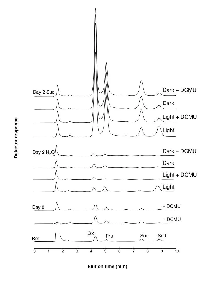 PPT - + DCMU PowerPoint Presentation, free download - ID:4309159