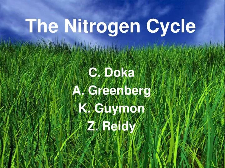 Nitrogen Cycle Powerpoint Template Ppt Slides - vrogue.co Nitrogen Cycle Powerpoint Template Ppt Slides - vrogue.co