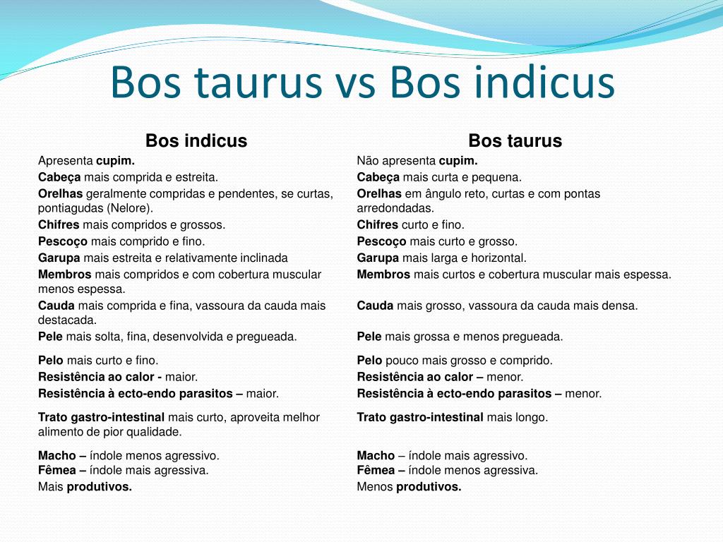 PPT - Pecuária Leiteira Aula 2 – Raças PowerPoint Presentation, free ...