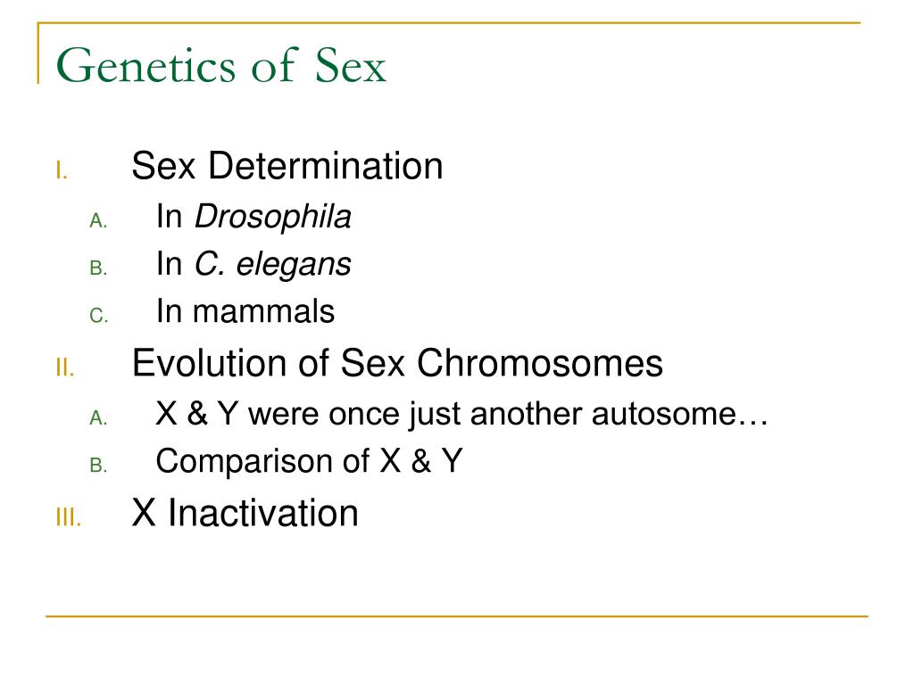 Ppt Genetics Of Sex Powerpoint Presentation Free Download Id 4316367