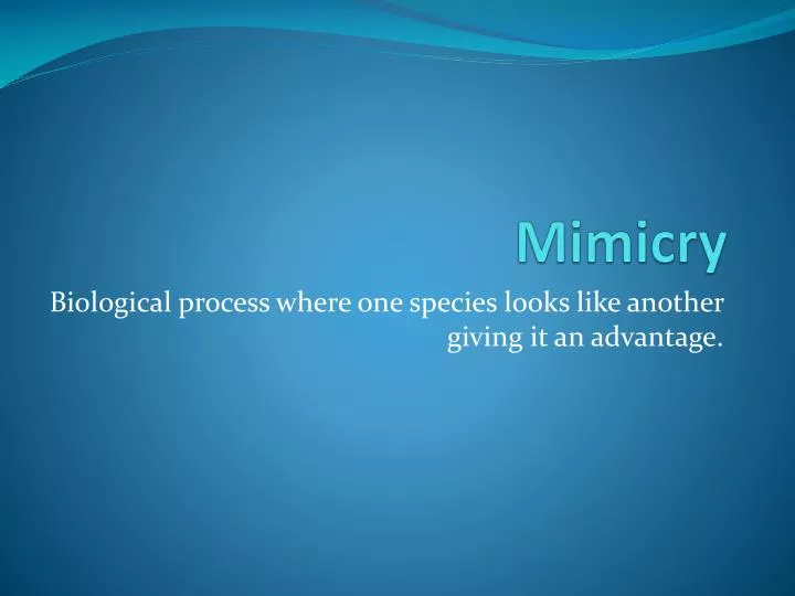 PPT - Mimicry PowerPoint Presentation, free download - ID:4316461