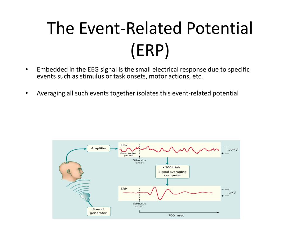 PPT - The Event-Related Potential (ERP) PowerPoint Presentation, free ... PPT - The Event-Related Potential (ERP) PowerPoint Presentation, free ...