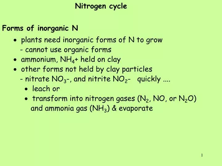 PPT - Nitrogen cycle PowerPoint Presentation, free download - ID:4319275