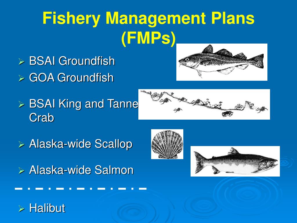 PPT - Federal Fisheries in the North Aleutian Basin PowerPoint ...