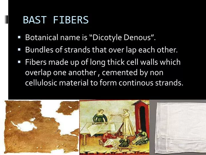 PPT - BAST FIBERS PowerPoint Presentation, free download - ID:4320068