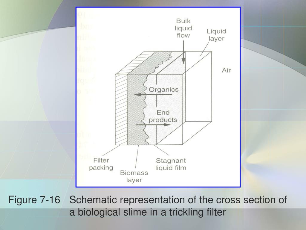 PPT - ERT 417/4 WASTE TREATMENT IN BIOPROCESS INDUSTRY CH 7 ...