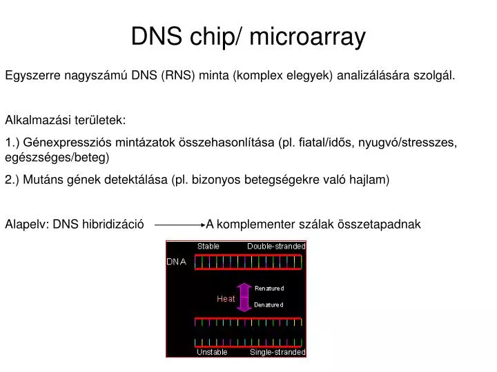 PPT - DNS chip/ microarray PowerPoint Presentation, free download - ID ...