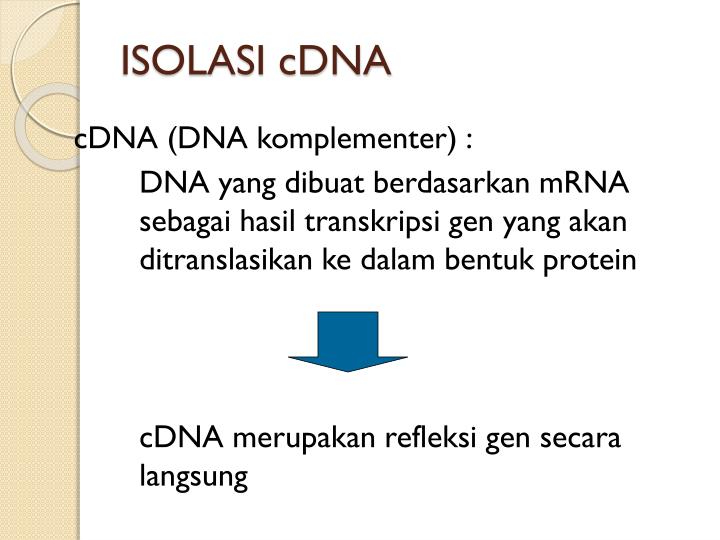 PPT - ISOLASI PENGKLONAN GEN PowerPoint Presentation - ID:4325402