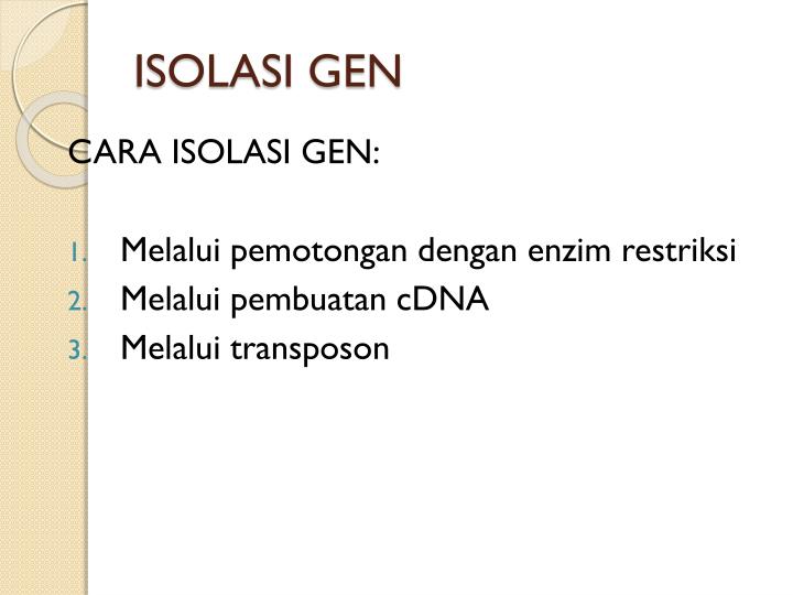 PPT - ISOLASI PENGKLONAN GEN PowerPoint Presentation - ID:4325402