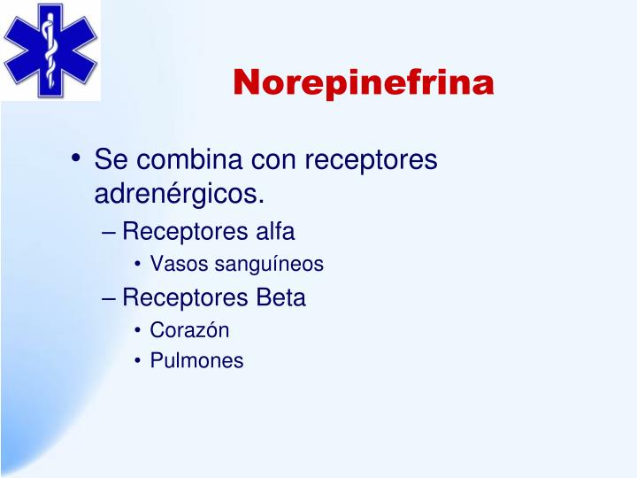 PPT - Sistema Central Nervioso PowerPoint Presentation - ID:4327294