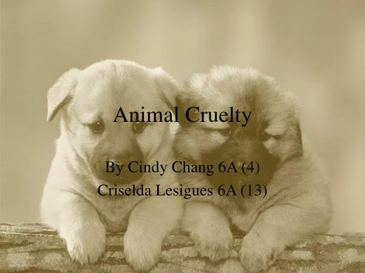 PPT - Animal Cruelty PowerPoint Presentation, free download - ID:4328195