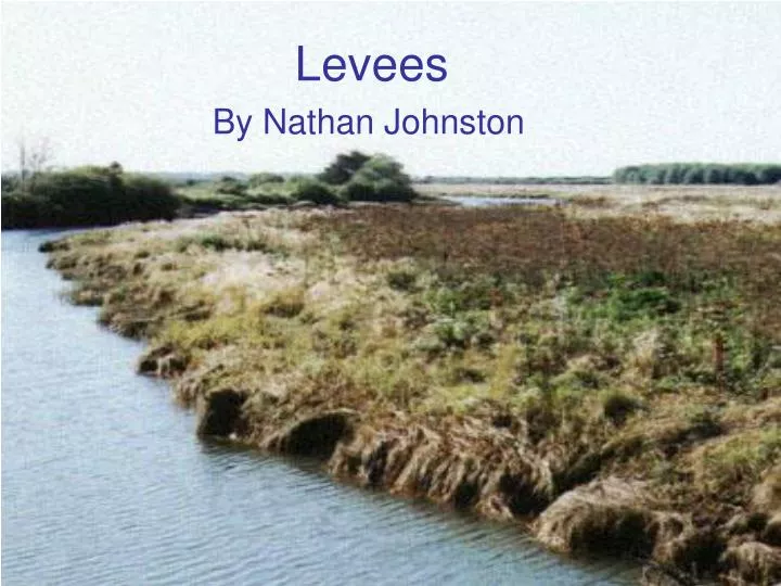 PPT - Levees PowerPoint Presentation, free download - ID:4330875