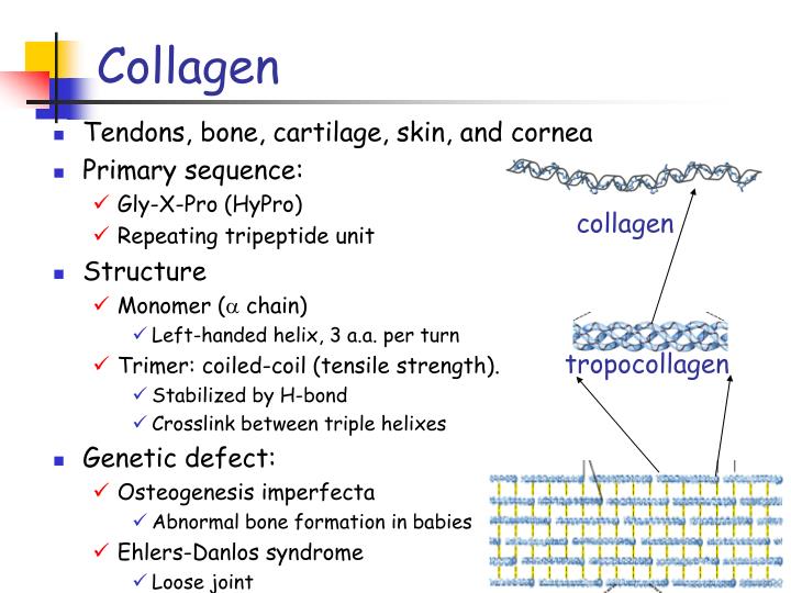 PPT - Protein Structures PowerPoint Presentation - ID:4331964