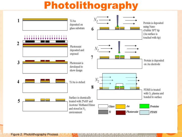 PPT - Micro-Fluidic Device for Antigen Discovery PowerPoint ...