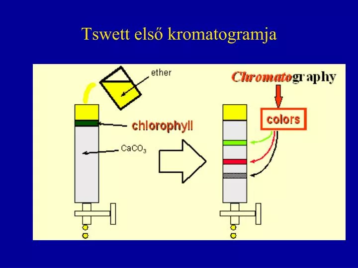 PPT - Tswett első kromatogramja PowerPoint Presentation, free download ...