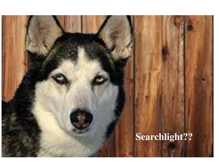 PPT - Stone Fox Written by John Reynolds Gardiner PowerPoint ...