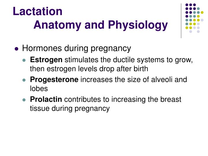 PPT - Lactation and Breastfeeding PowerPoint Presentation - ID:4335379