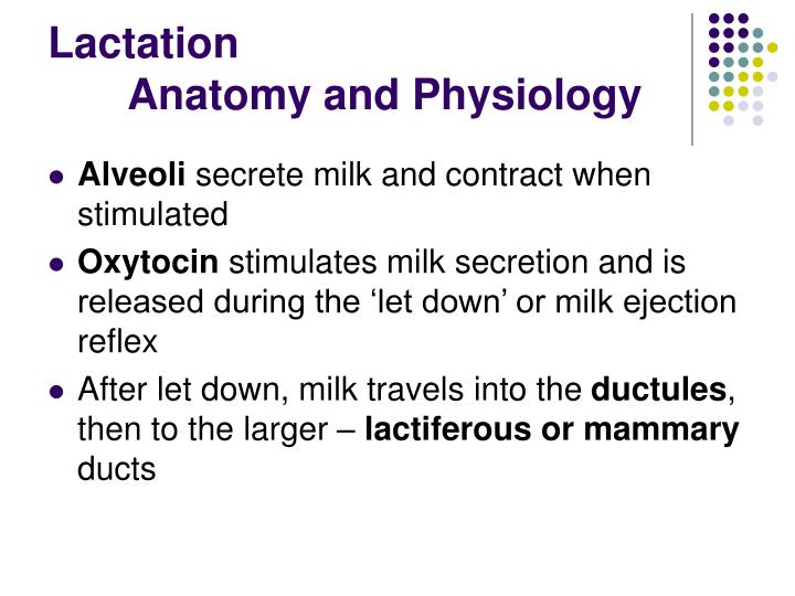 PPT - Lactation and Breastfeeding PowerPoint Presentation - ID:4335379
