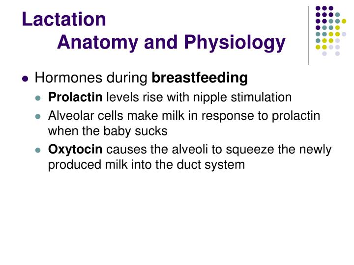 PPT - Lactation and Breastfeeding PowerPoint Presentation - ID:4335379