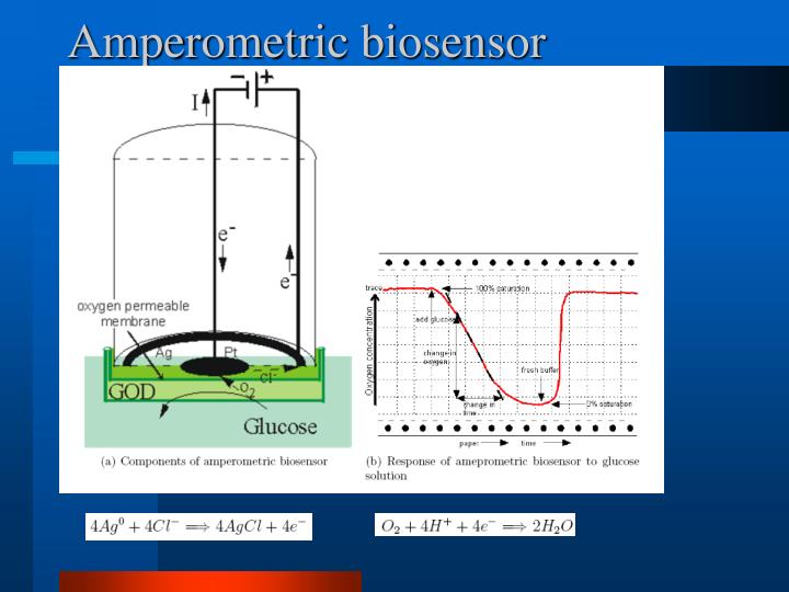 PPT - Carbon Nanotubes as Biosensors PowerPoint Presentation - ID:4336902