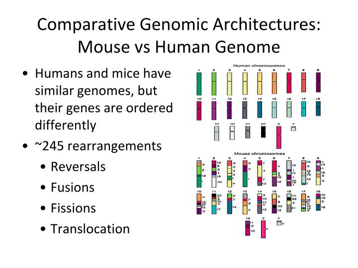 PPT - Gene Prediction: Computational Challenge PowerPoint Presentation ...