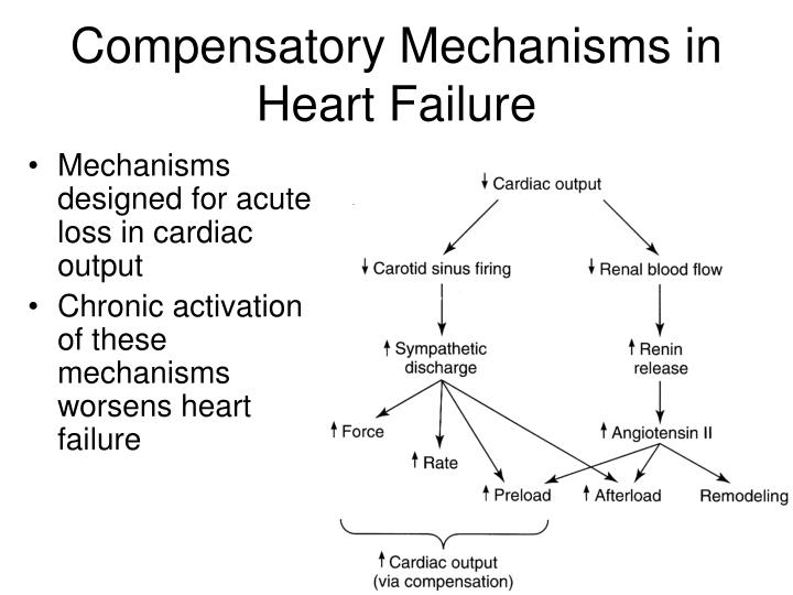 PPT - Drugs for Congestive Heart Failure PowerPoint Presentation - ID ...