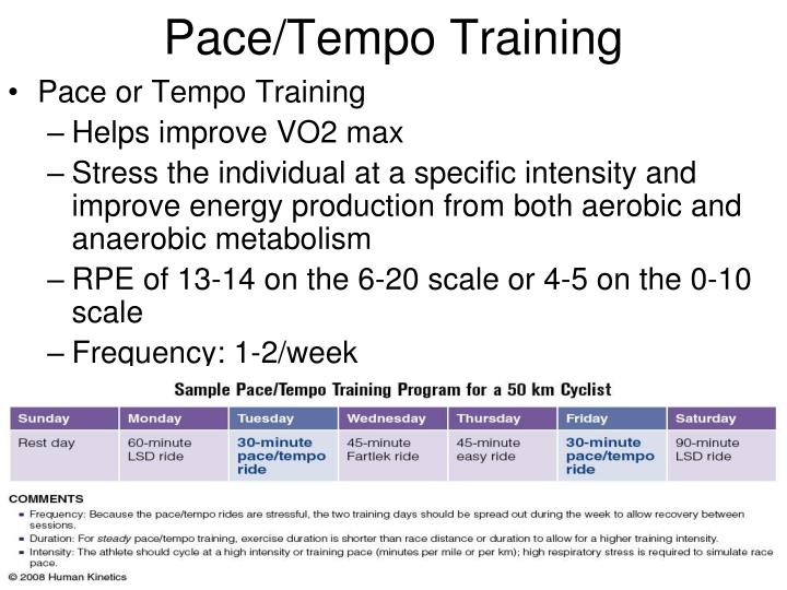 PPT - Aerobic Endurance Training PowerPoint Presentation - ID:4341514