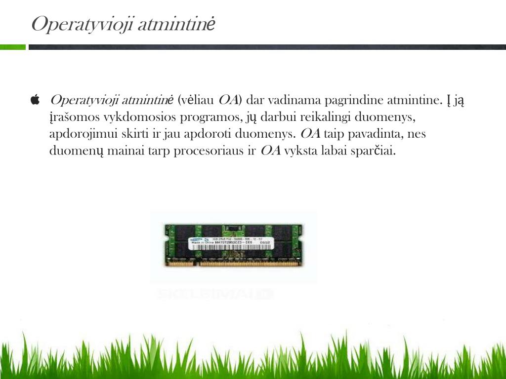PPT - Vidin ė atmintinė. Magistralės. Lizdai PowerPoint Presentation ...