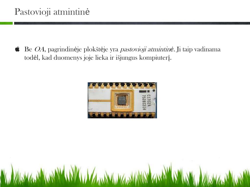 PPT - Vidin ė atmintinė. Magistralės. Lizdai PowerPoint Presentation ...