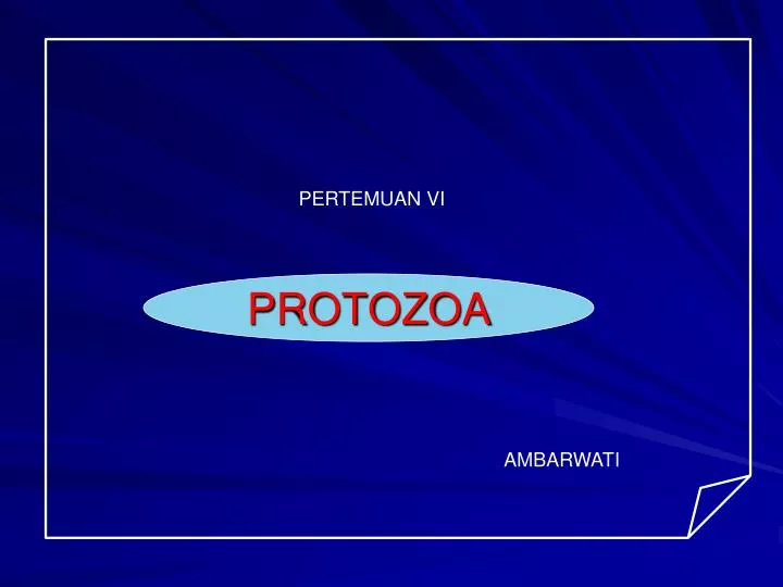 PPT - PROTOZOA PowerPoint Presentation, free download - ID:4341832