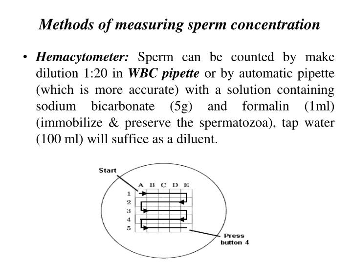 PPT - Semen analysis PowerPoint Presentation - ID:4342349