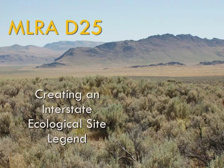 PPT - MLRA D25 PowerPoint Presentation, free download - ID:4342548