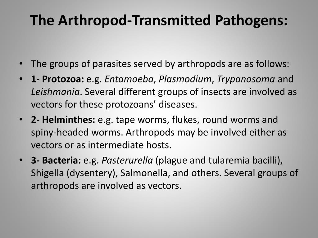 PPT - Faculty of Allied Medical Sciences Parasitology (MLPR-201) fall ...